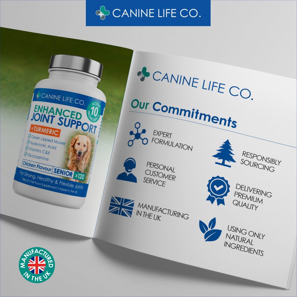 Senior Dog Joint Supplement for Older Dogs Aged 8+ - Canine Life Co.