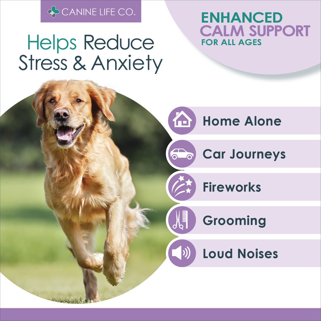 Quiet Moments® Dog Calming Room Spray NaturVet®