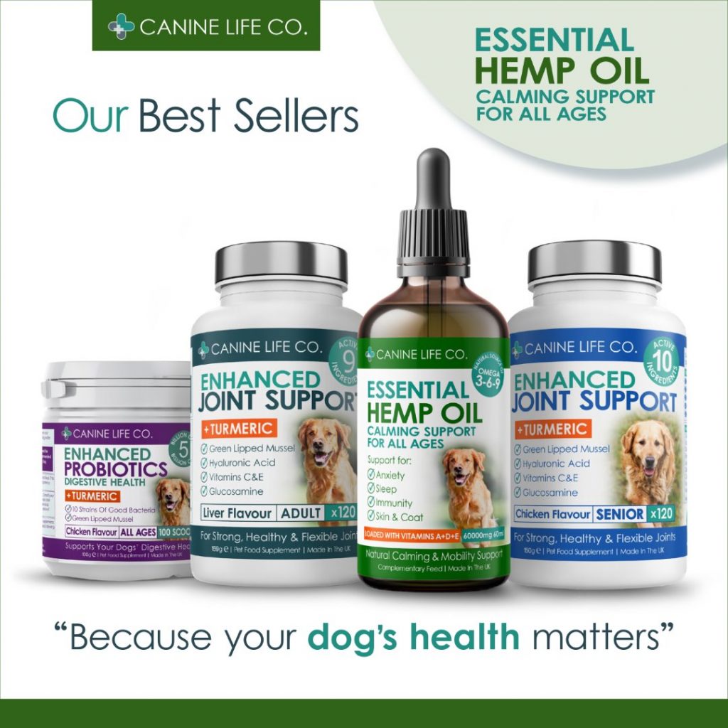Hemp Oil For Dogs | 100% Natural Calming Dog Supplement