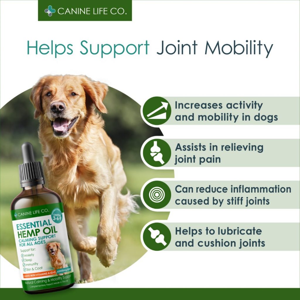 Hemp Oil For Dogs | 100% Natural Calming Dog Supplement