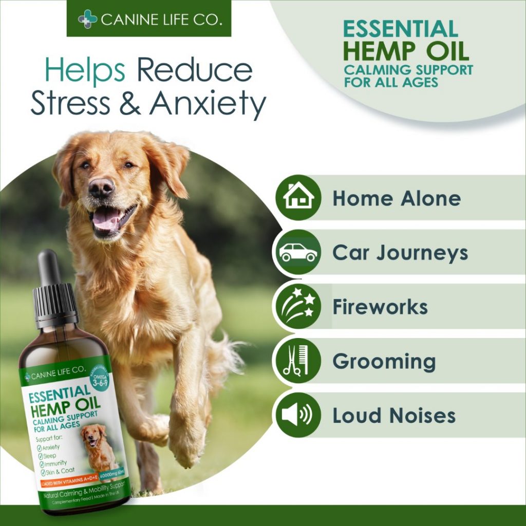 Hemp Oil For Dogs | 100% Natural Calming Dog Supplement
