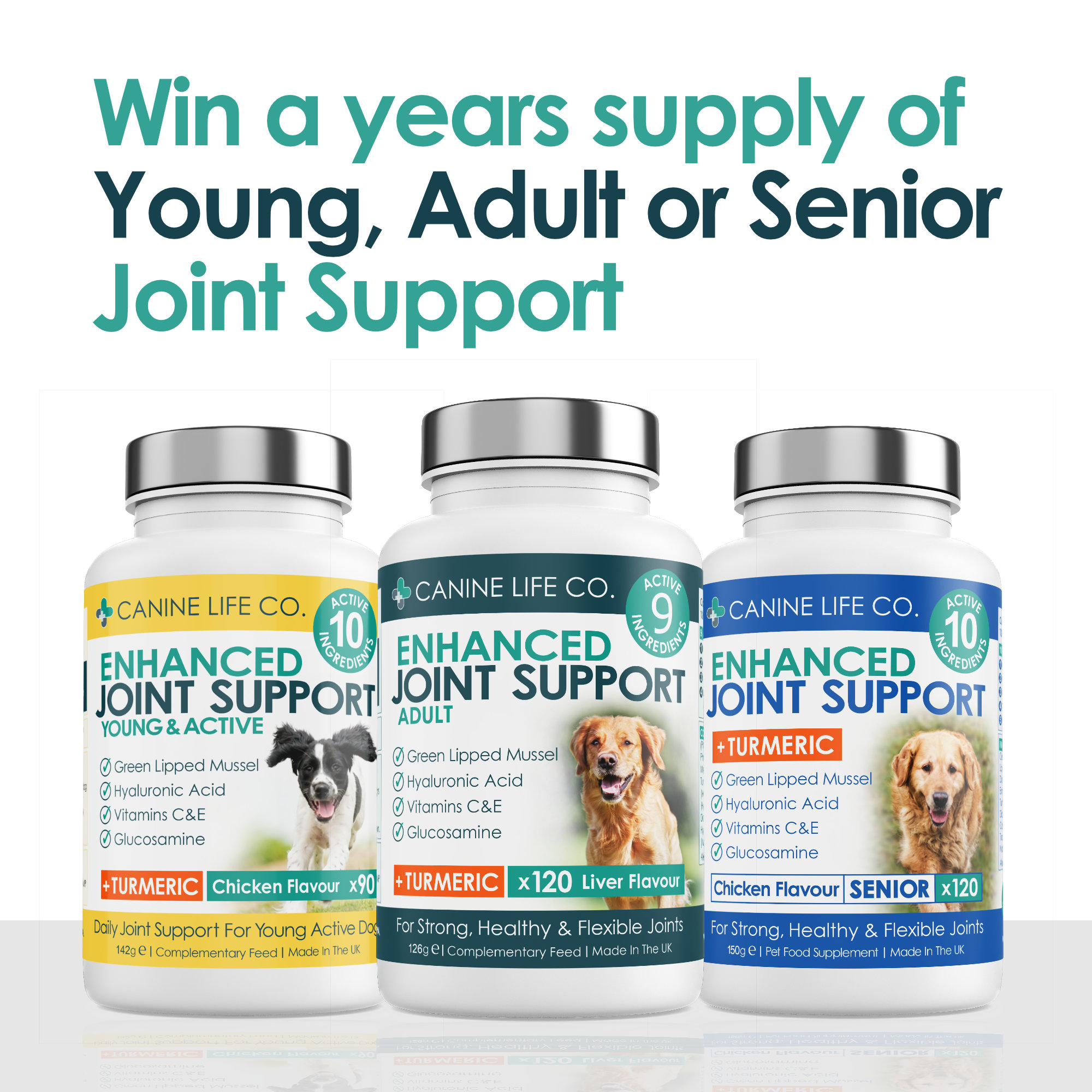 How ENHANCED JOINT SUPPORT Works - Canine Life Co.